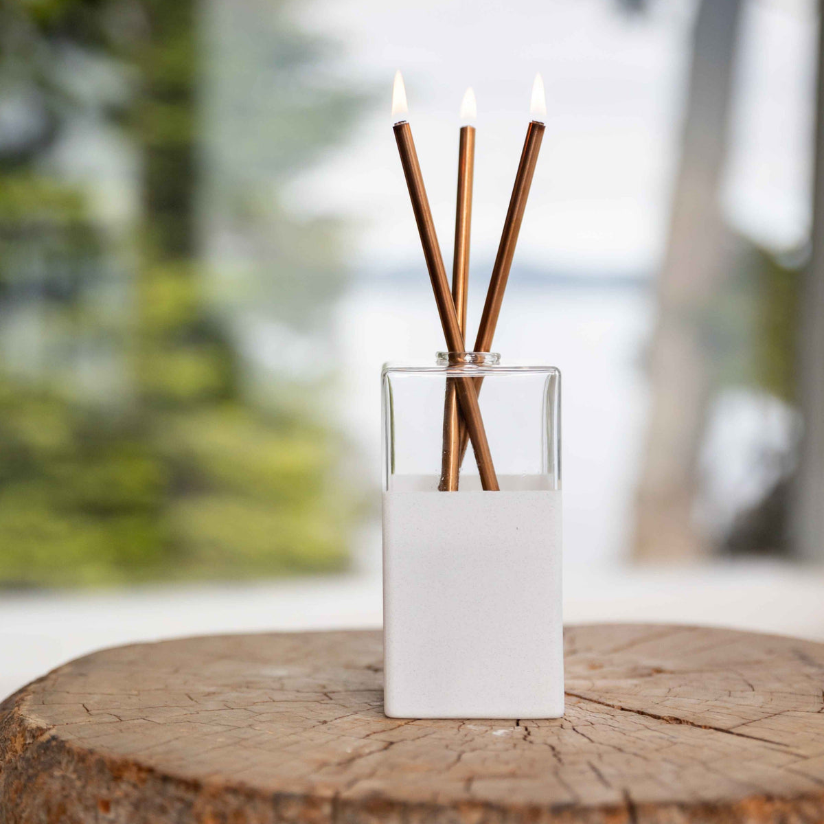 Champagne Everlasting Candles | Thistle Creek Store